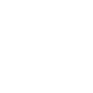 Shadowbox Learning Services Inc. – Custom eLearning Specialists